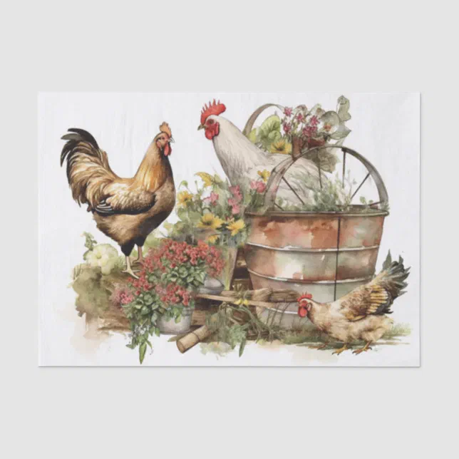 Farm Fresh Chicken Tissue Paper | Zazzle