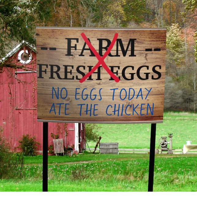 Farm Fresh Eggs For Sale Sign | Zazzle