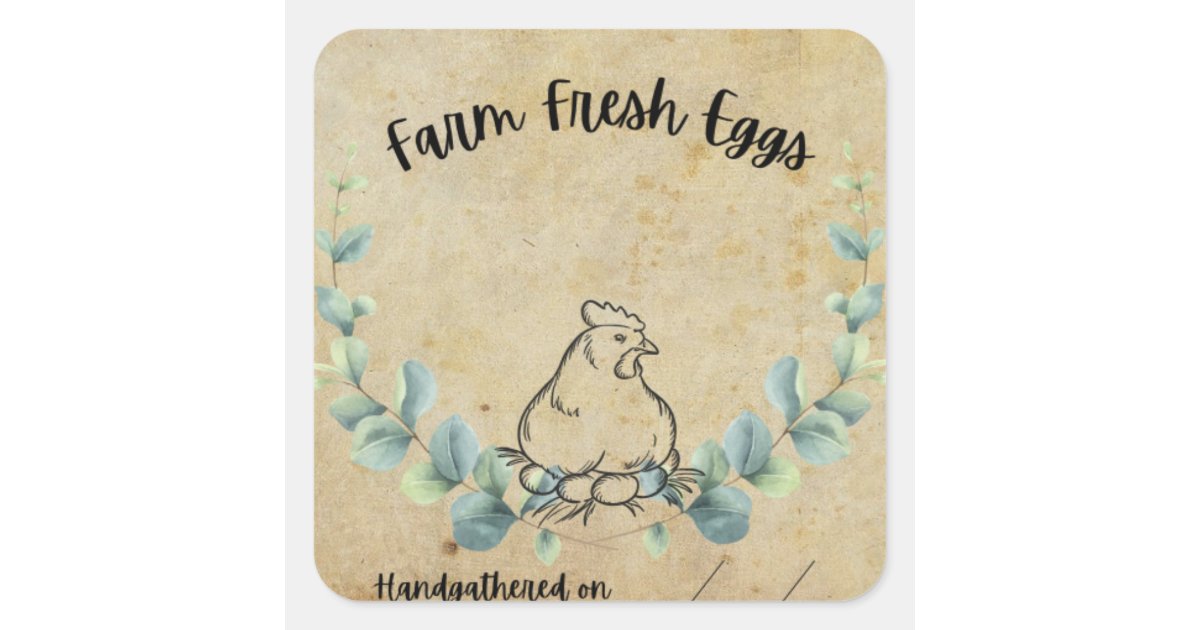 Farm Fresh Eggs square sticker | Zazzle