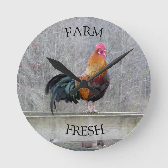 Farm Fresh Rooster Clock | Zazzle