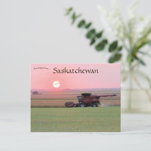 Farm in Indian Head Saskatchewan Canada Postcard | Zazzle