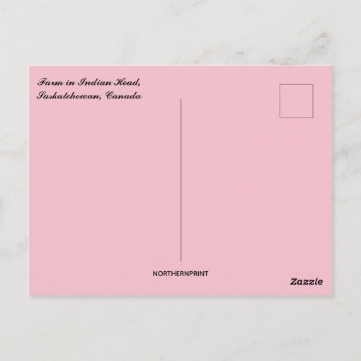 Farm in Indian Head Saskatchewan Canada Postcard | Zazzle