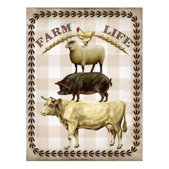 Farm life vintage Country postcard | Zazzle.com