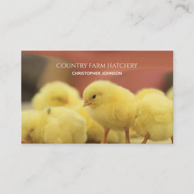 Farm Young Chicken Egg Hatchery Personalized Business Card | Zazzle