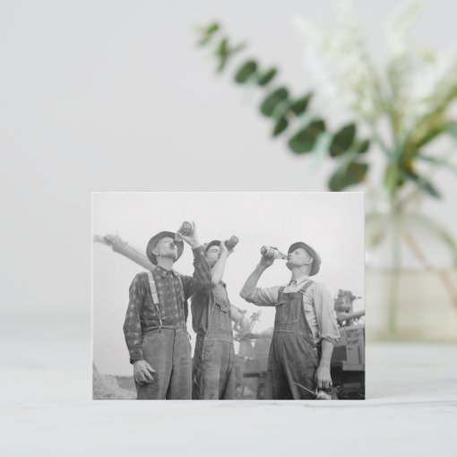 Farmers Drinking Beer, 1941 Postcard | Zazzle