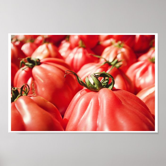 Farmer's Market Red Tomato Photography Kitchen Poster | Zazzle.com