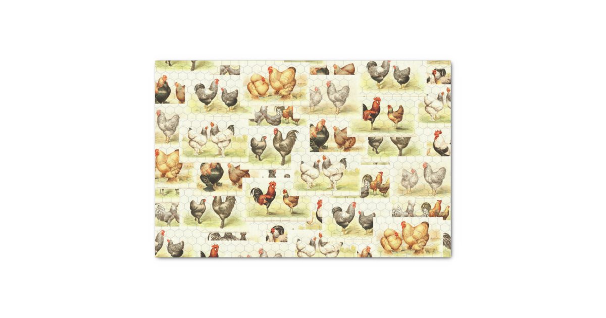 Farmhouse Chicken Tissue- Decoupage or Wrap Tissue Paper | Zazzle