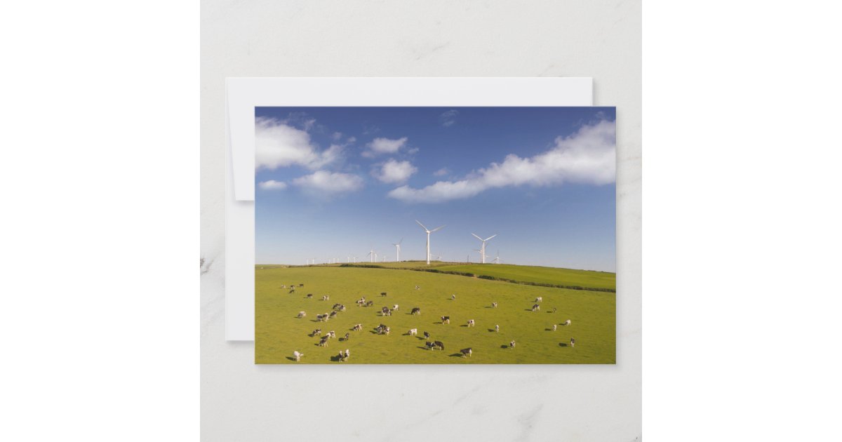 Farms | Cows Near Windmill Farm Thank You Card | Zazzle