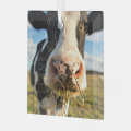 Farms | Holstein Cow Chewing Glass Ornament | Zazzle