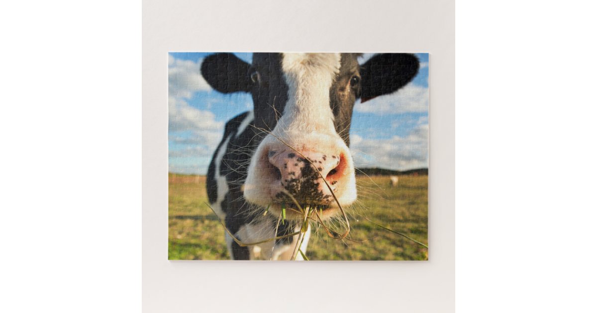 Farms | Holstein Cow Chewing Jigsaw Puzzle | Zazzle