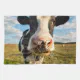 Farms | Holstein Cow Chewing Kitchen Towel | Zazzle