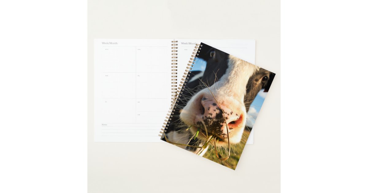 Farms | Holstein Cow Chewing Planner | Zazzle