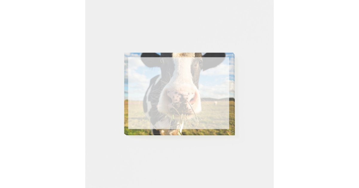 Farms | Holstein Cow Chewing Post-it Notes | Zazzle