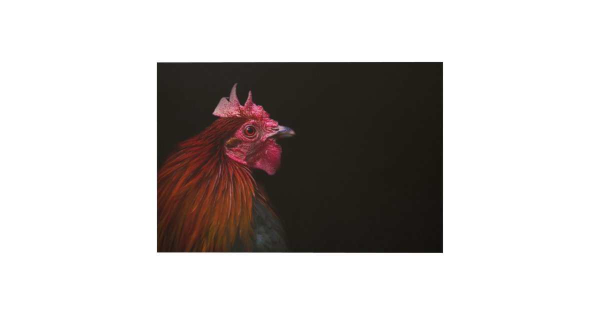Farms | Rooster Head Shot Wood Wall Art | Zazzle