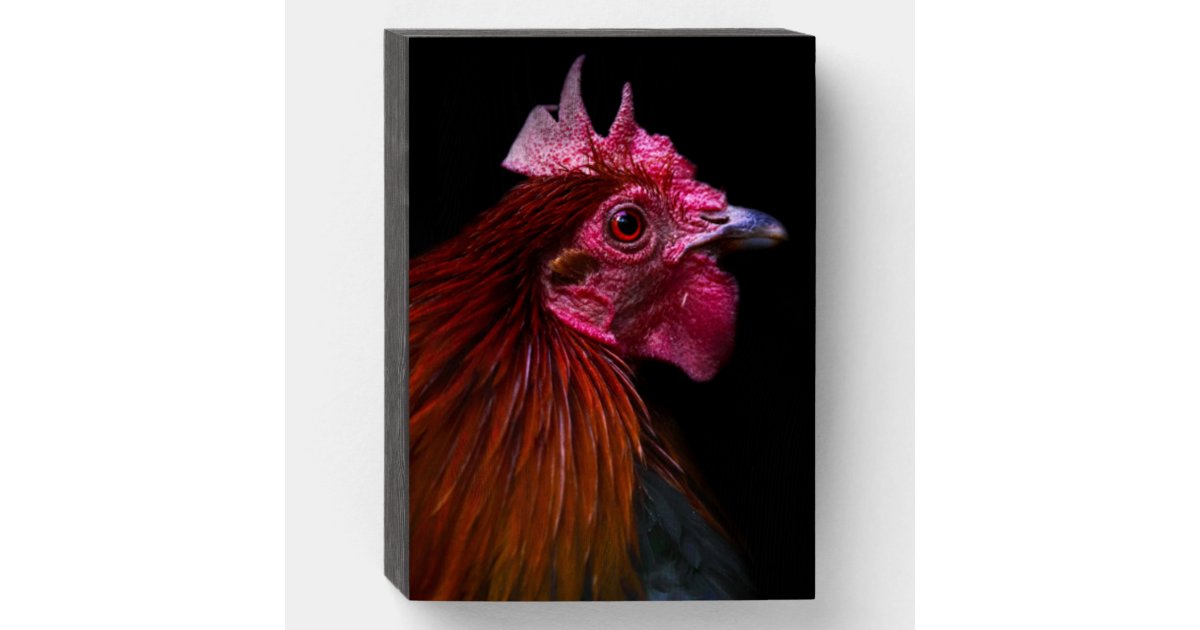 Farms | Rooster Head Shot Wooden Box Sign | Zazzle