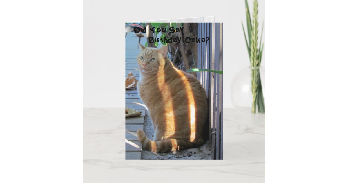 Fat Cat Birthday Card | Zazzle