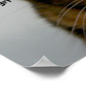 Fat Cat with Attitude, grumpy kitty song Poster | Zazzle