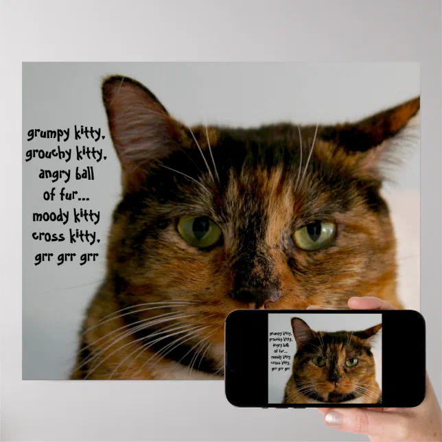 Fat Cat with Attitude, grumpy kitty song Poster | Zazzle
