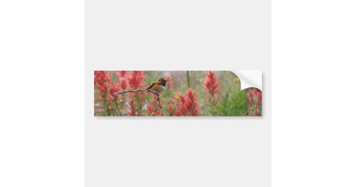 Fat little bird bumper sticker | Zazzle