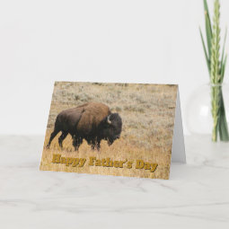 Father's Day Bison In Prairie Grass Photo Template | Zazzle