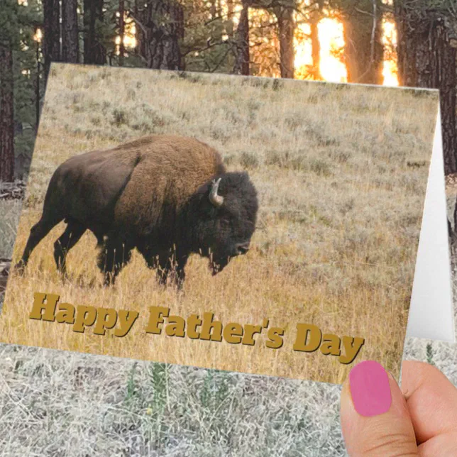 Father's Day Bison In Prairie Grass Photo Template | Zazzle