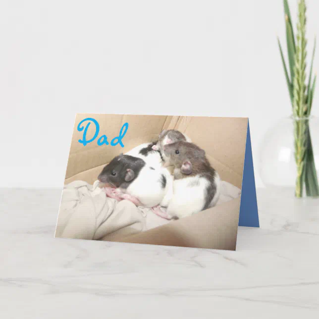 Father's Day card (baby rats) | Zazzle