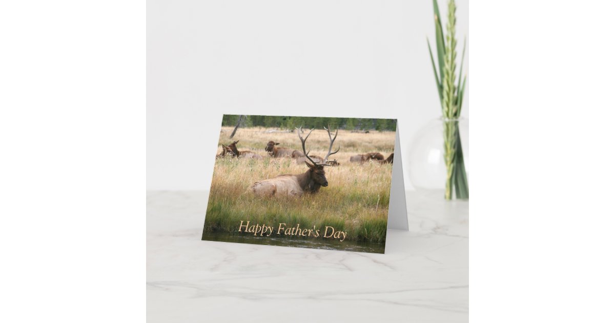 Father's Day Elk Card | Zazzle