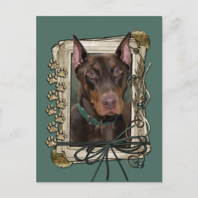 Fathers Day - Stone Paws - Doberman - Red Postcard | Zazzle