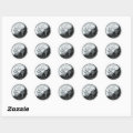 Faux South Carolina State Quarter Classic Round Sticker | Zazzle