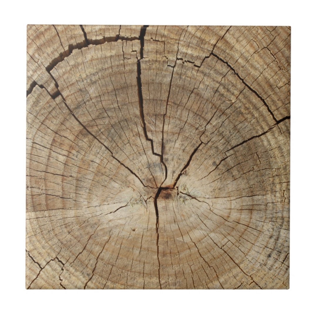 Faux Tree Rings Background Ceramic Tile | Zazzle