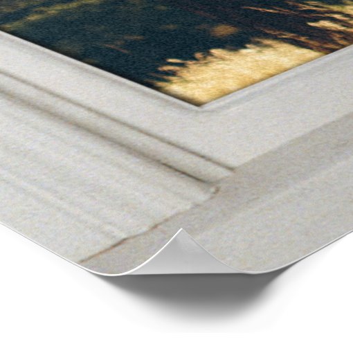 Faux Window Illusion - Realistic Forest View Poster | Zazzle