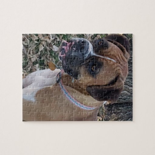 Fawn Boxer Puppy Puzzle- Boxer Dog Puzzles | Zazzle