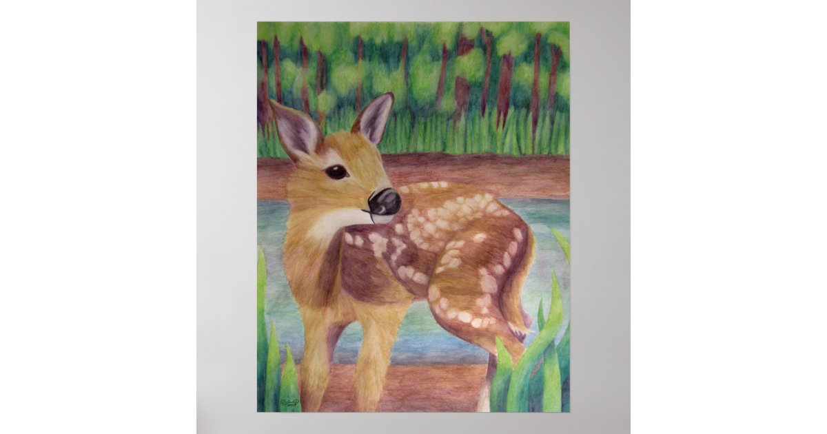 Fawn Poster | Zazzle