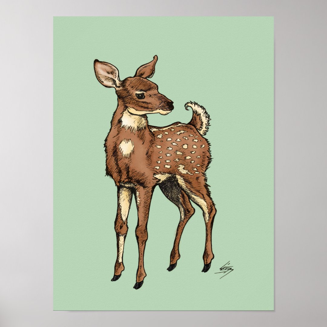 Fawn with Mint background Poster | Zazzle