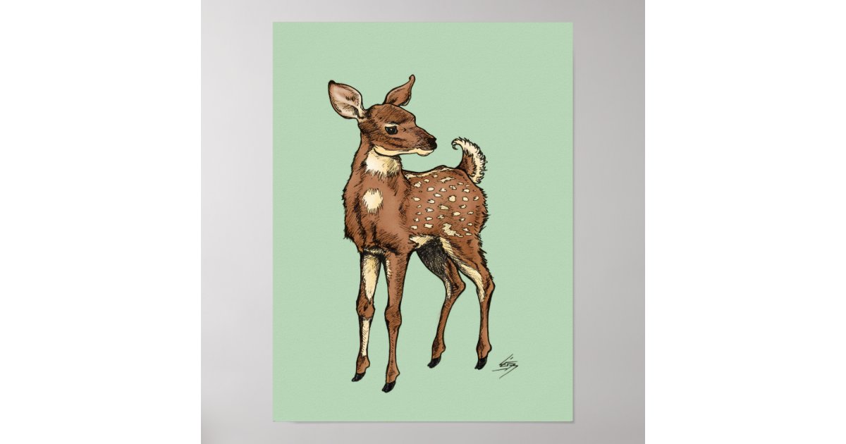 Fawn with Mint background Poster | Zazzle