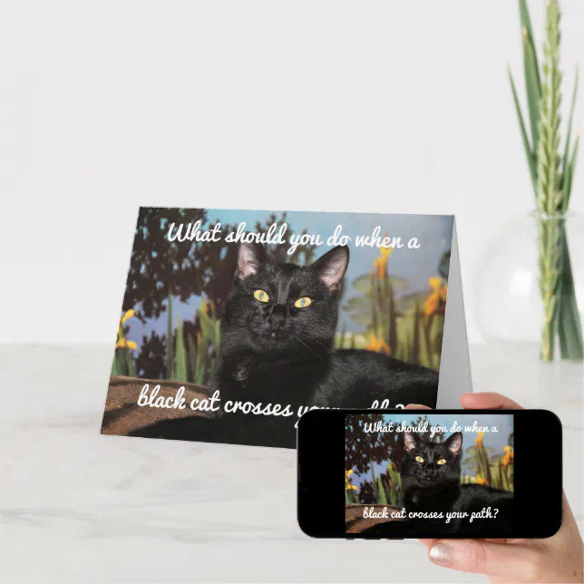 Fear Of Black Cats Card | Zazzle