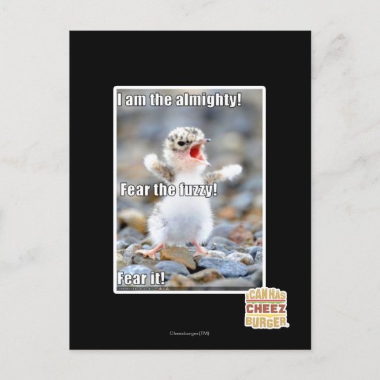 Fear the Fuzzy! Postcard | Zazzle.com