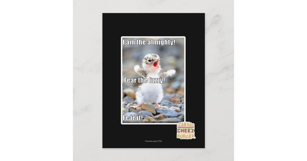 Fear the Fuzzy! Postcard | Zazzle