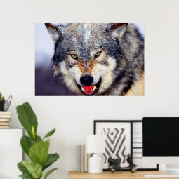 Fearsome Wolf Poster | Zazzle