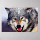 Fearsome Wolf Poster | Zazzle