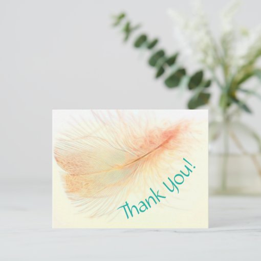 Feather Thank You Postcard | Zazzle