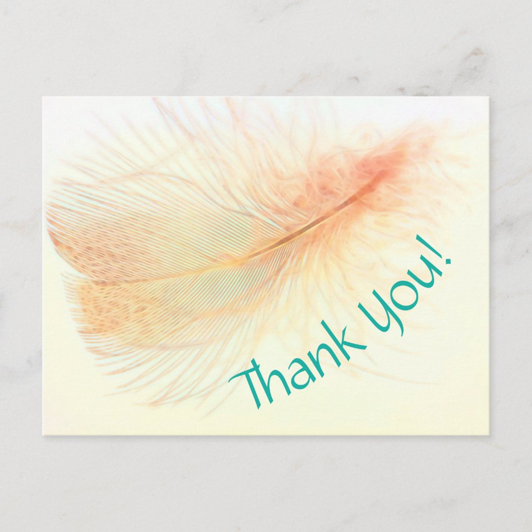 Feather Thank You Postcard | Zazzle