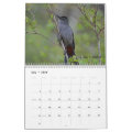 Feathered Friends - Wild Birds Calendar | Zazzle