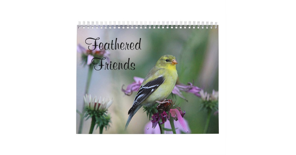 Feathered Friends - Wild Birds Calendar | Zazzle