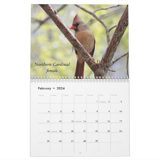 Feathered Friends - Wild Birds Calendar | Zazzle