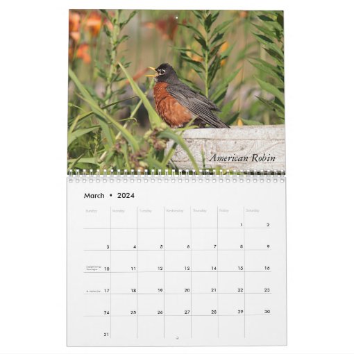 Feathered Friends - Wild Birds Calendar | Zazzle