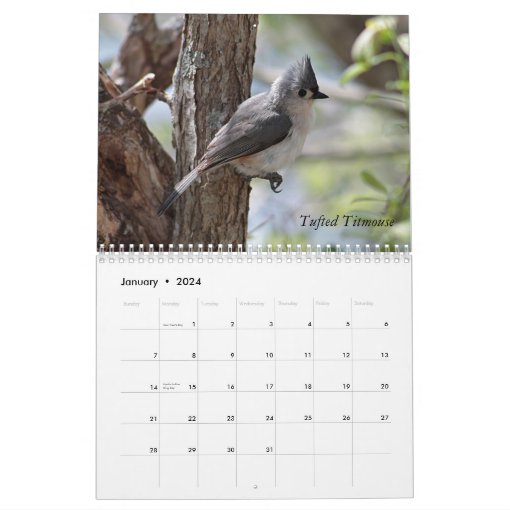 Feathered Friends - Wild Birds Calendar | Zazzle