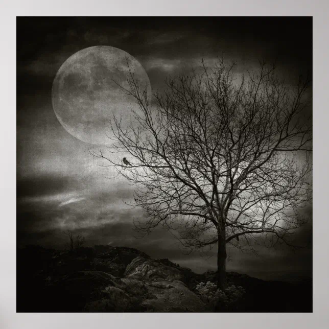 February Tree Poster | Zazzle