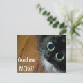 feed me NOW! Postcard | Zazzle