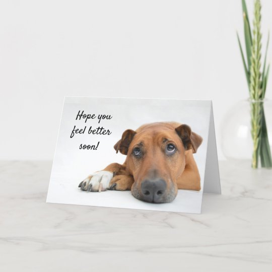 Feel Better Soon Sad Dog Get Well Card | Zazzle.com